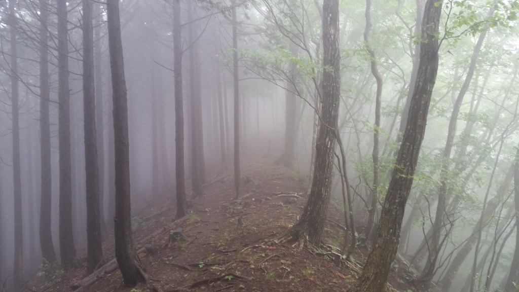 Where to go hiking when it’s hot and humid in Tokyo? – Hiking Around Tokyo