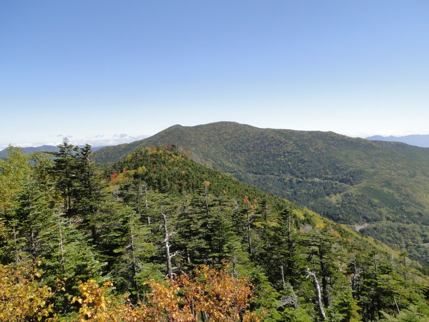 Where to go hiking when it’s hot and humid in Tokyo? – Hiking Around Tokyo