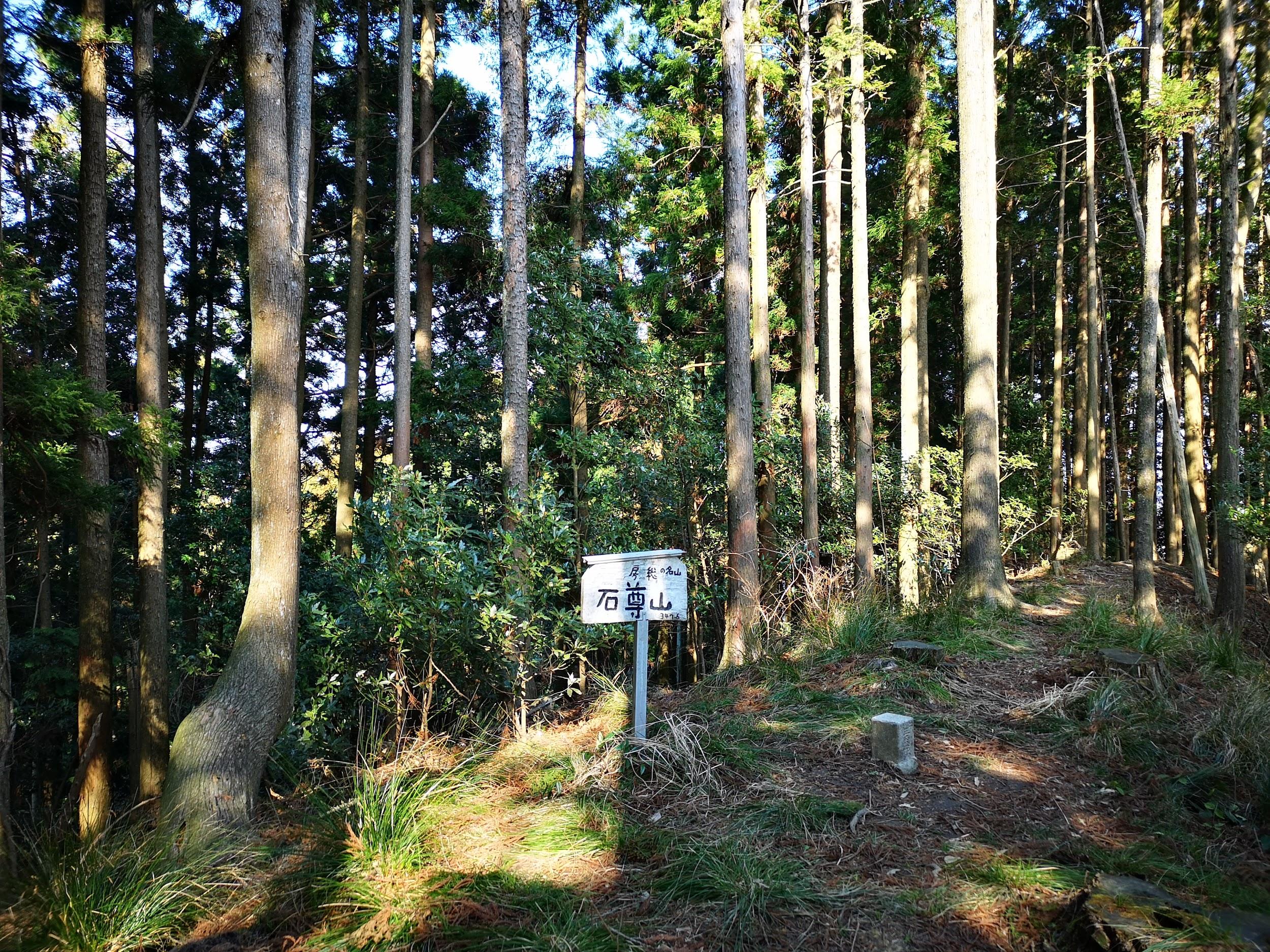 Tokyo Day Hikes March 2019 – Hiking Around Tokyo