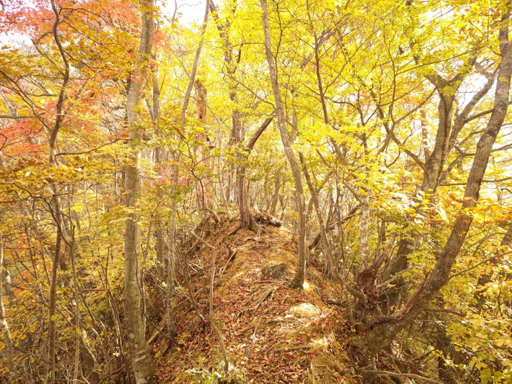 Mt Yasuto (1151m), Nasu-Shiobara City, Tochigi Prefecture, Thursday ...